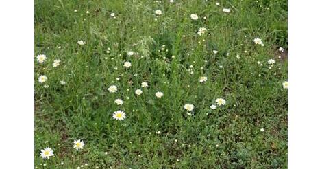 Beauty in the Ozarks - Danny Porter, Century 21 Realtor | Mountain Home, AR